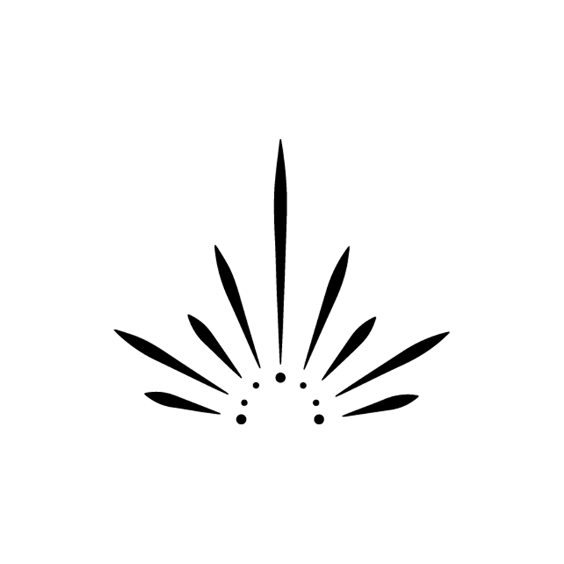 קעקוע זרקונים - tatwo